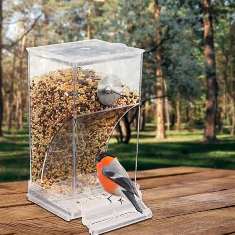 Automatic Bird Feeder With Timer