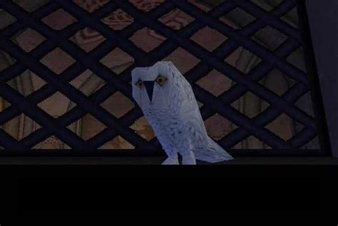 сова из гарри поттера Создать мем Meme