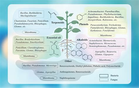 首页 中山大学农业与生物技术学院