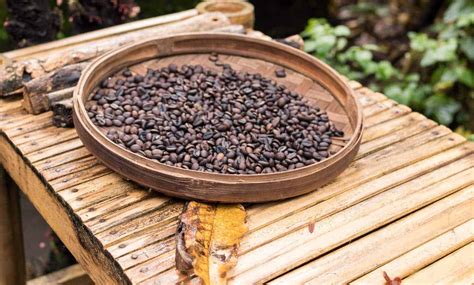 Why Is Coffee Called Java Colloquial Coffee Synonyms