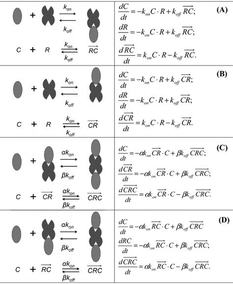 Schematic Representation Of Binding Interactions For One To Two Binding