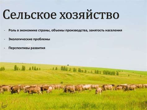 Сельское хозяйство Роль в экономике страны объемы производства занятость населения