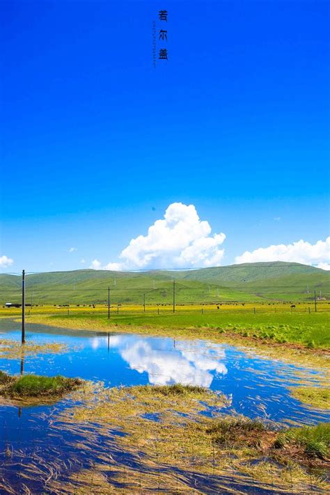 7月若爾蓋 每日頭條