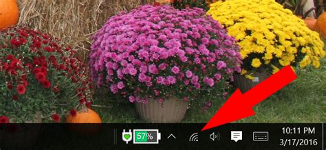 How To Setup A Netgear N300 WiFi Extender German Pearls