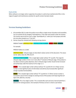 Versioning Guidelines For Product PDF