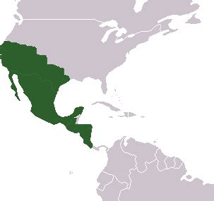Filefirst Mexican Empire Mappng Wikimedia Commons
