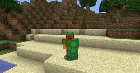 I Tried Making A Turtle Shell Shield For Minecraft Sorry For The