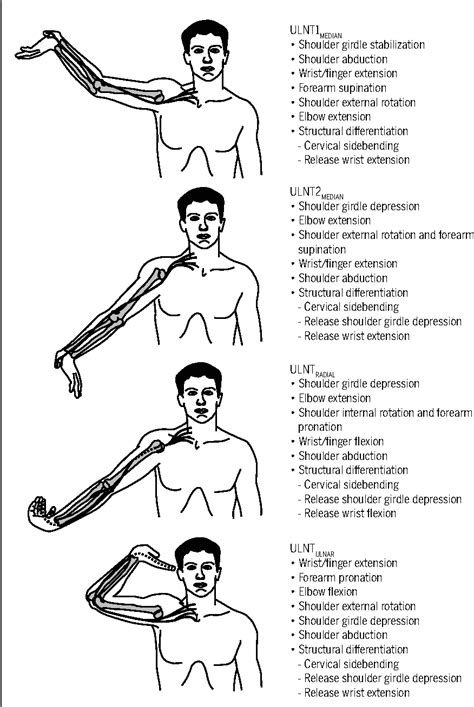 Upper Extremity Physical Exam Special Tests