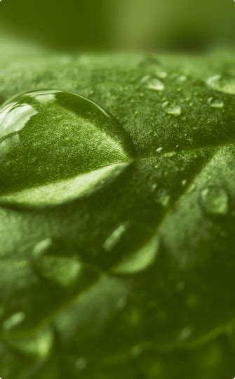 Cx Solution 씨엑스솔루션