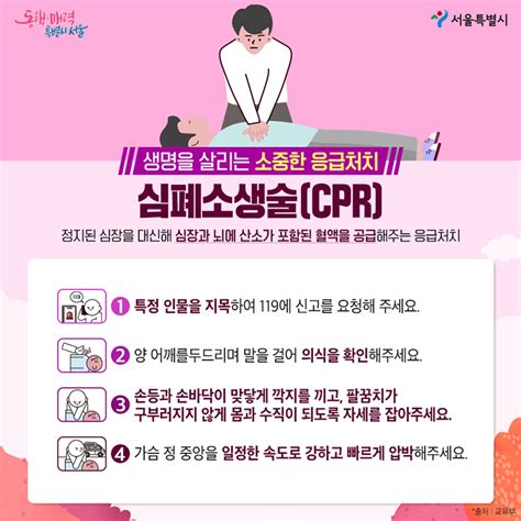 서울시 내 손안에 서울