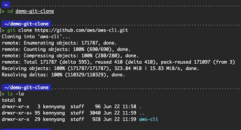 Git Clone Command From Basic Usage To Advanced Techniques Datacamp
