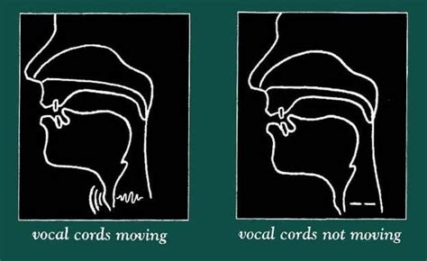 Voiced And Voiceless Sounds δάσκαλος