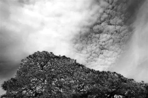 云游五洲三万里，归来雁峰独看松。 知乎