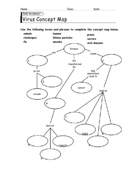 Inspiration Biology Virus Worksheets For Virus Concept Map 6th Free