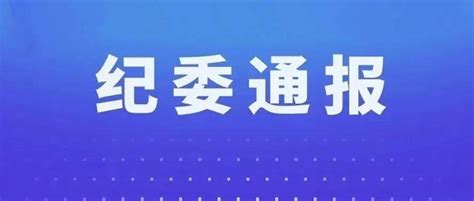 景洪市纪委市监委通报2起损害营商环境典型问题服务李云海物资