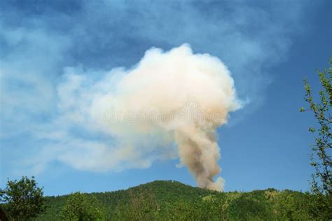 Forest Fire With A Large Cloud Of Smoke Rising Stock Image Image Of