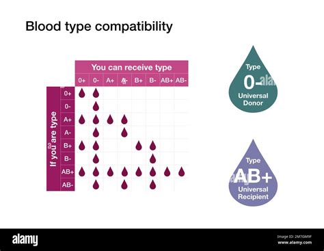 Label The Blood Types On The Cards Quizlet At Scarlett Packham Blog