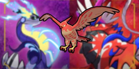 Pokemon Scarlet And Violet Talonflame Best Moves