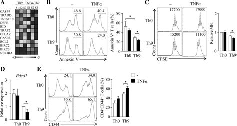 Tnf α Enhances Th9 Cell Differentiation And Antitumor Immunity Via