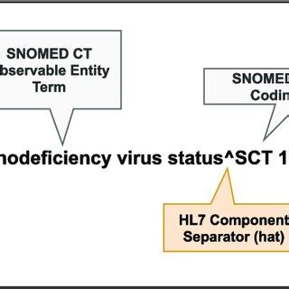 Illustration Of An HL7 Observation Result Message Download Scientific Diagram
