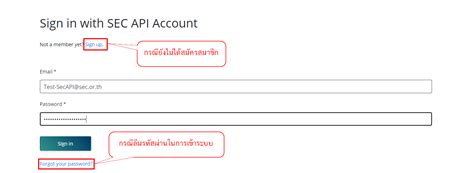user manual sec api developer portal