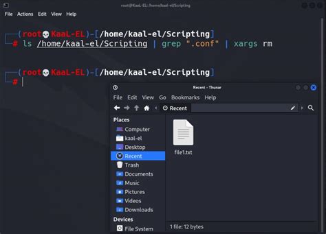 Calling Shell Functions With Xargs Geeksforgeeks