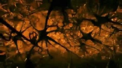 Stages Of The Creation Of Man In The Quran مراحل خلق الانسان في