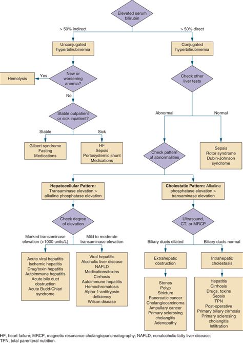 Clinical Approach To Elevated Liver Enzyme Activities