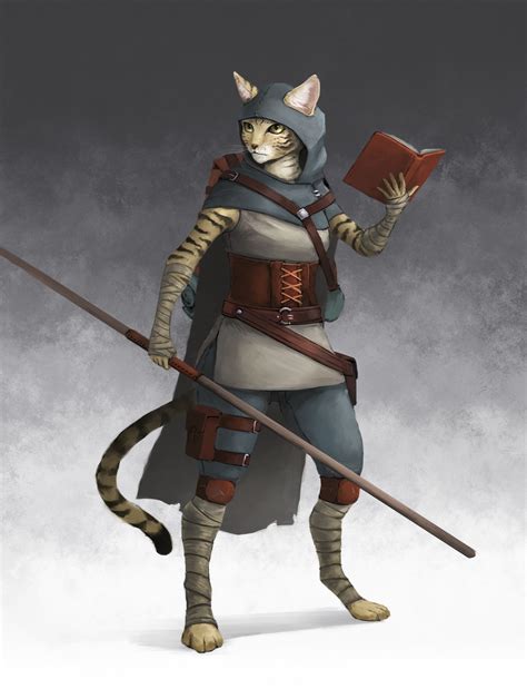 20 Tabaxi Ideen Charakterdesign Fantasie Charakter Design Fantasy