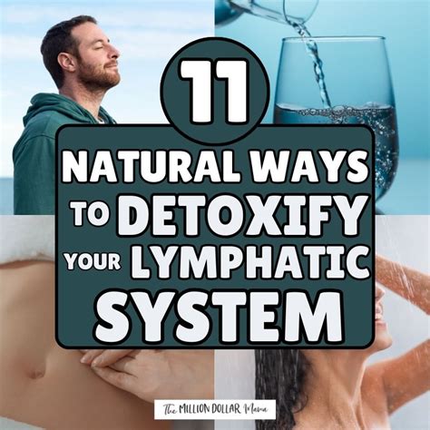 11 Natural Ways To Detoxify Your Lymphatic System