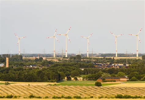 Telamon Providing World Wide Solutions