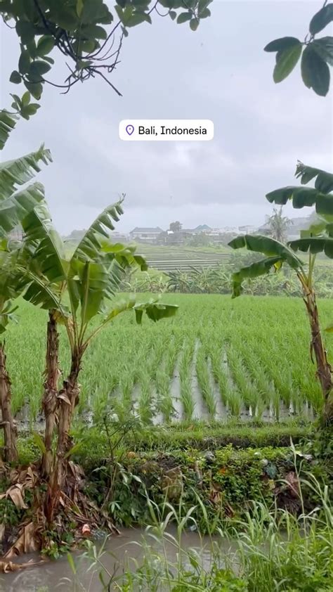 Аня • стиль и путешествия как образ жизни • Берлин Ашхабад кажется полетела сюда чтобы так