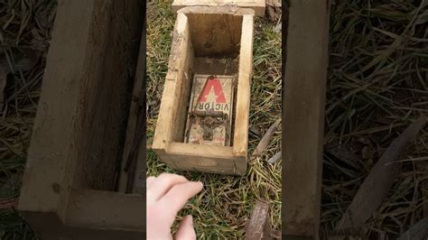 Trapping Weasel In A Chicken Coop Youtube