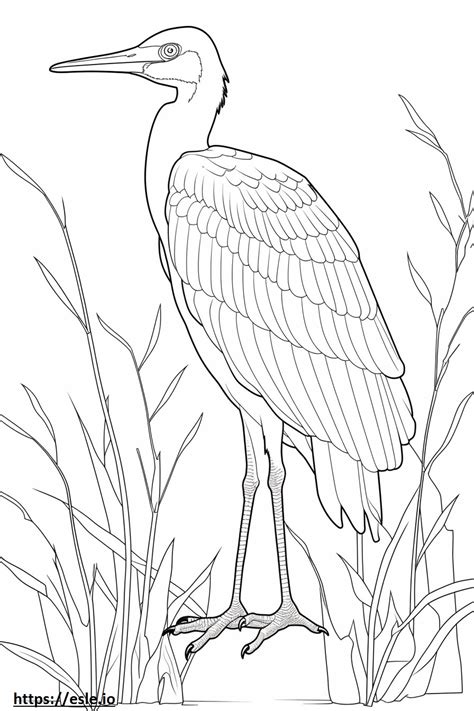 Great Blue Heron Full Body Coloring Page