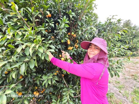 សកម្មភាពប្រជាពលរដ្ឋក្នុងខេត្តស្ទ ទូរទស្សន៍ខេត្តស្ទឹងត្រែង