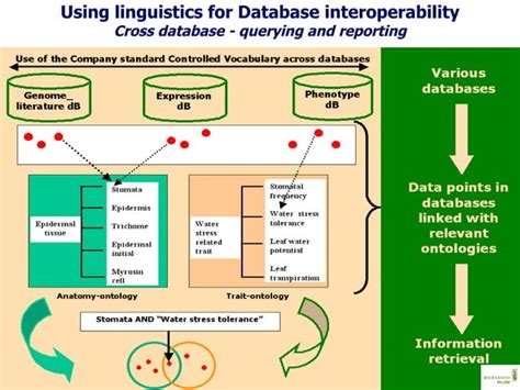 Ontology Development And Use For Efficient Information Input And Retrieval Ppt
