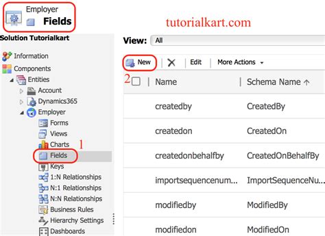 How To Create Entity Fields In Dynamics 365 Custom Fields