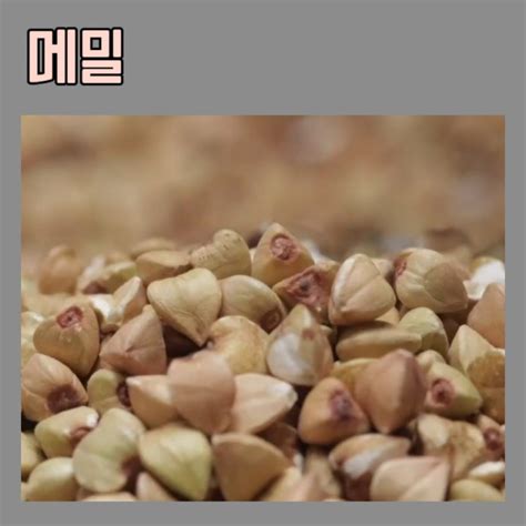 메밀 효능 부작용 ️혈관건강 루틴식품 메밀밥[천기누설] 네이버 블로그