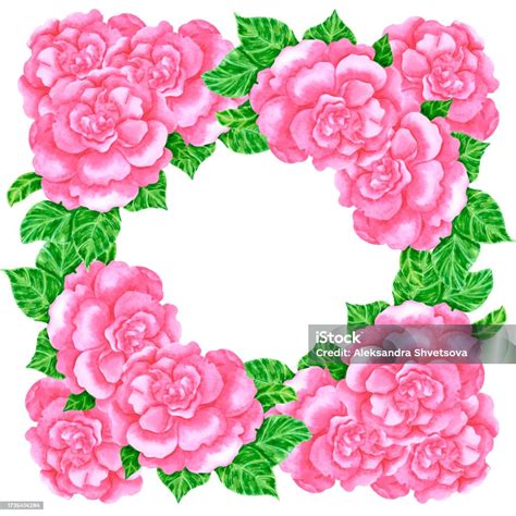 손으로 그린 수채화 핑크 진달래 화환 프레임 테두리가 흰색 배경에 분리되어 있다 초대장 엽서 포스터 장식 및 기타 인쇄물에