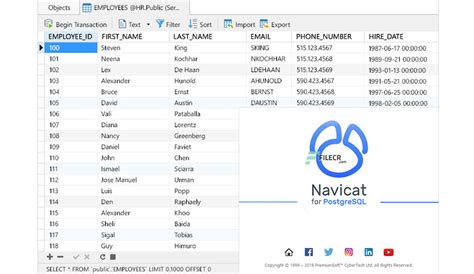 Navicat For Postgresql 16115 Free Download Filecr