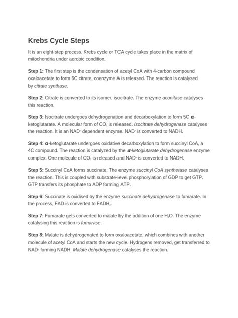 Steps Of The Krebs Cycle Explained Pdf
