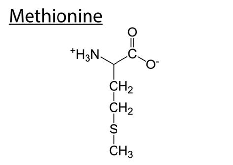 Methionine Amino Acid Structure