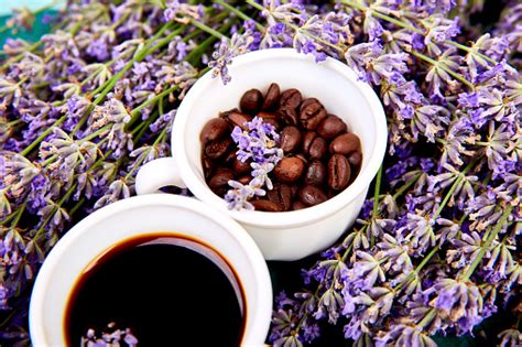 커피 컵에 커피 곡물과 위에서 녹색 배경에 라벤더 꽃 좋은 아침 개념 여자 작업 책상입니다 아늑한 아침 식사 Mockup 플랫