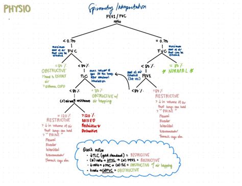 Spirometry Algorithm Notes Pdf Exhalation Animal Physiology