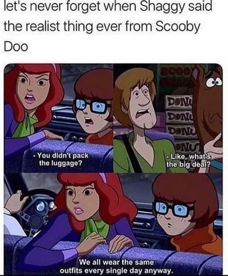 The Best Shaggy Memes Memedroid