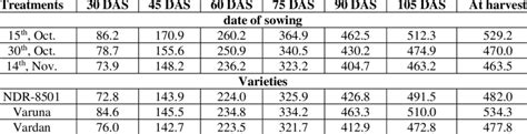 Solar Radiation Interception Mjm 2 Of Indian Mustard As Influenced Download Scientific