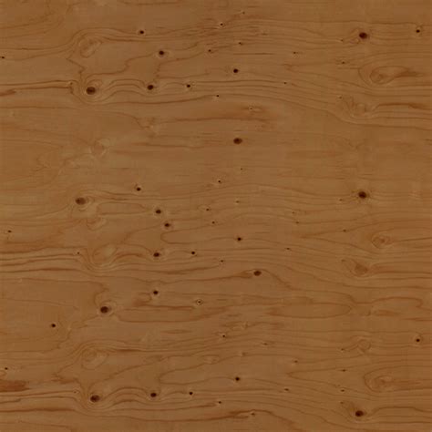 Pressure Treated Wood Texture Single C24 Graded Pressure Treated