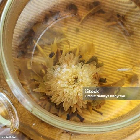 투명한 찻주전자에 흰색 바운드 엘리트 잎 차 은빛 국화 평면도 0명에 대한 스톡 사진 및 기타 이미지 0명 건강한 생활방식