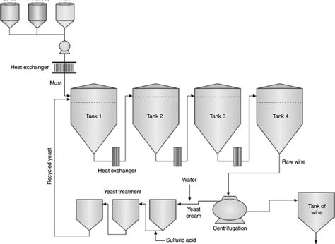 Diagramme De Fermentation Simple Chapitre 2 Le Métabolisme Des