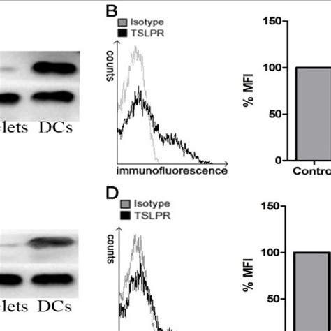 Tslpr Protein Expression In Human And Murine Platelets Aandb